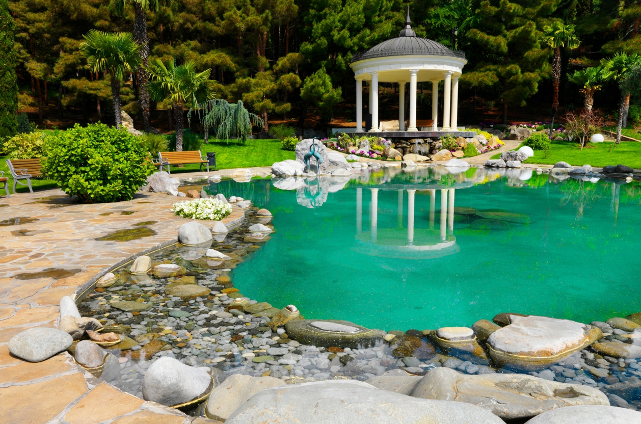 Biological pools: immerse yourself in nature - SAGIPER