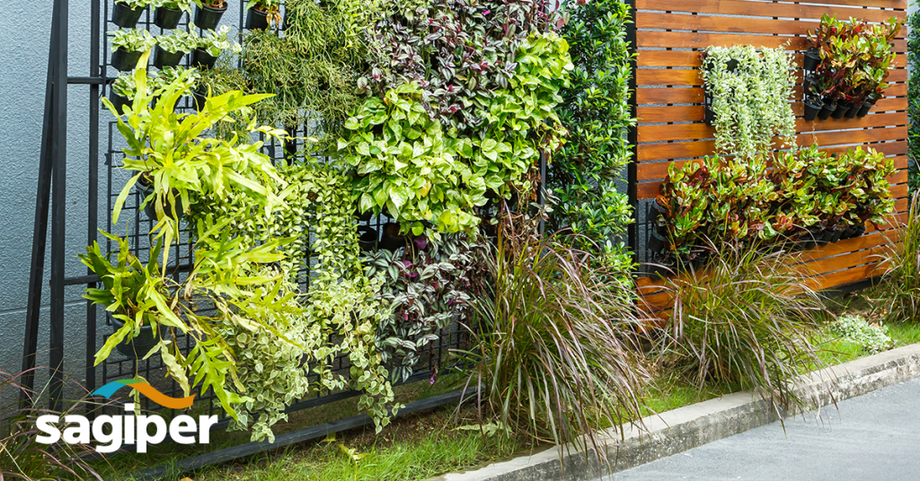 Would you like to have a vertical garden? Check out these tips! - SAGIPER